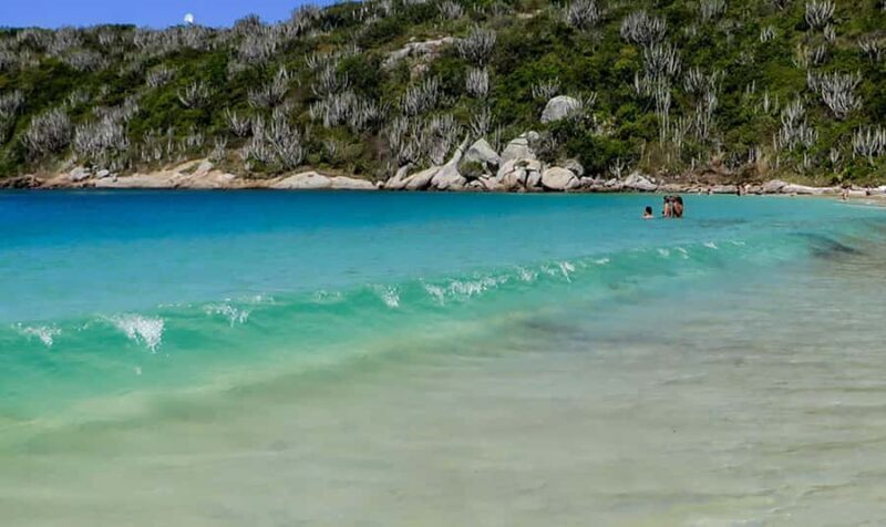 From Rio de Janeiro: Arraial do Cabo Island Day Trip - Who Is This Tour Best For?