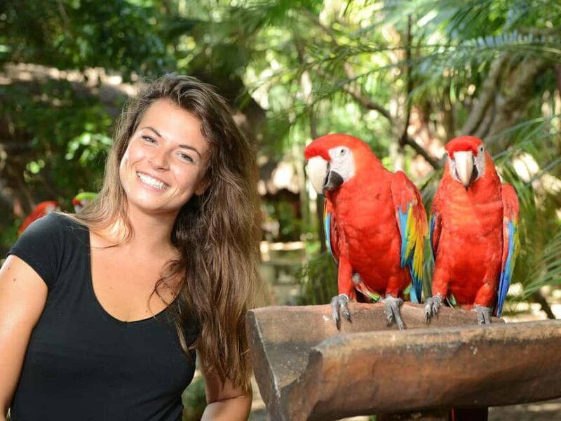 From Riviera Maya: Complete Combo to Xcaret Park! - Key Points