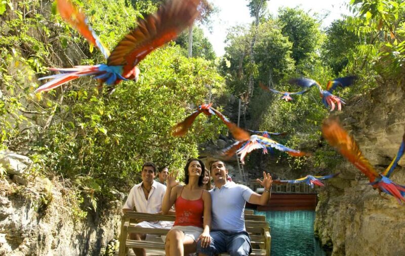 From Riviera Maya: Complete Combo to Xcaret Park! - What’s Special About the Experience?