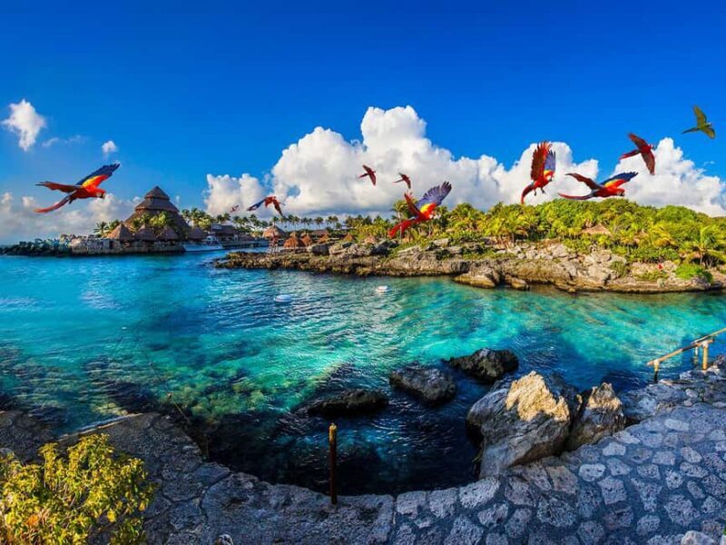 From Riviera Maya: Complete Combo to Xcaret Park! - What Makes This Tour a Good Value?