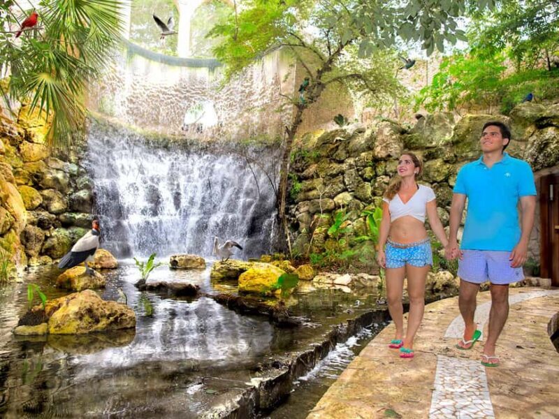 From Riviera Maya: Complete Combo to Xcaret Park! - Final Thoughts