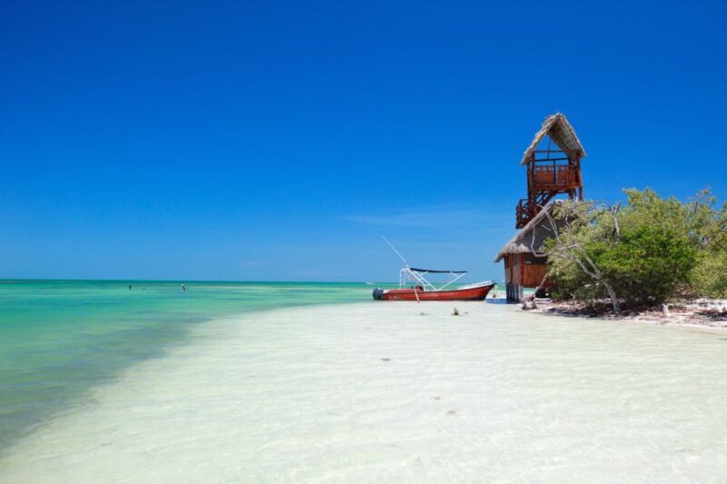 From Riviera Maya: Holbox Full-Day Tour with Lunch - Key Points