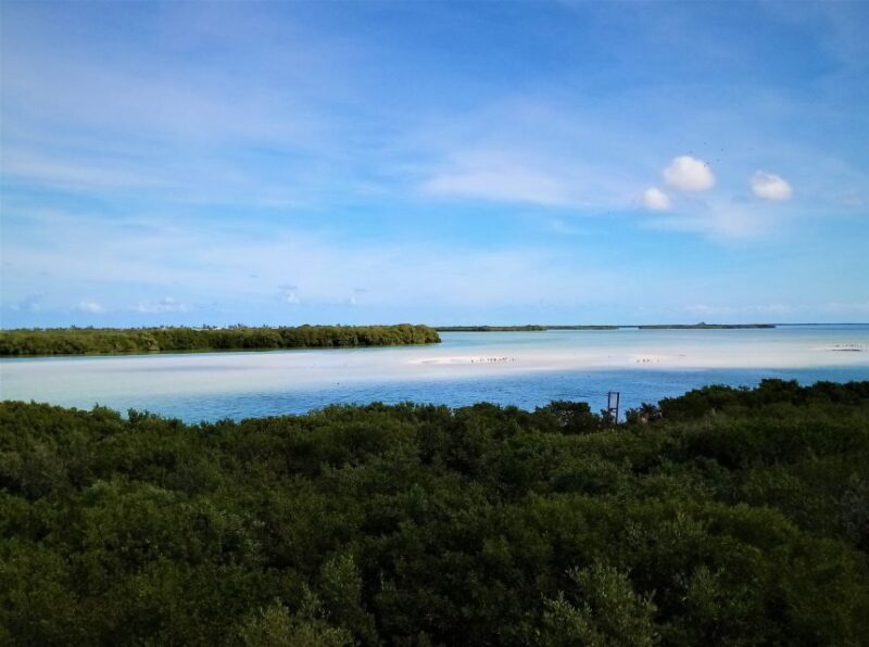 From Riviera Maya: Holbox Full-Day Tour with Lunch - Return Journey and Drop-off