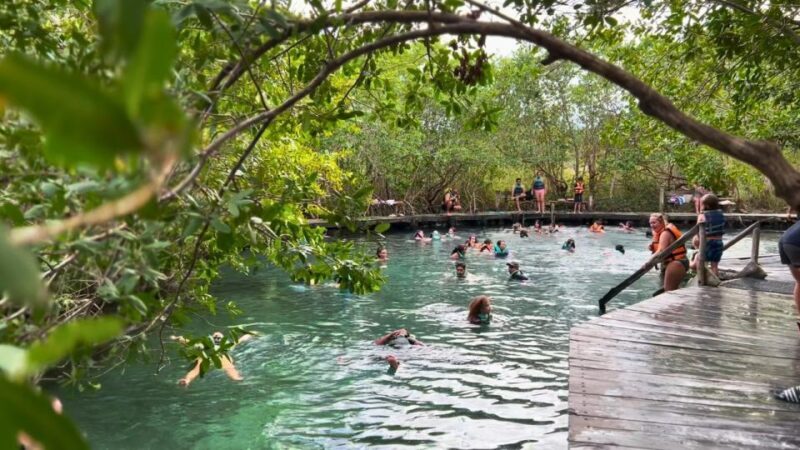 From Riviera Maya: Holbox Full-Day Tour with Lunch - Practical Tips and Considerations