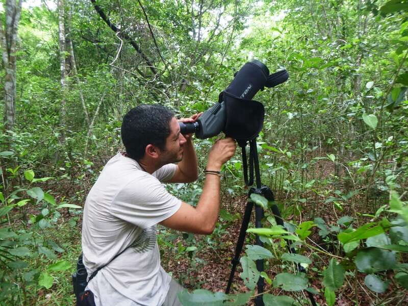 From Riviera Maya : Sian Ka'an Muyil Birdwatching with Guide - Why This Tour Is a Great Choice