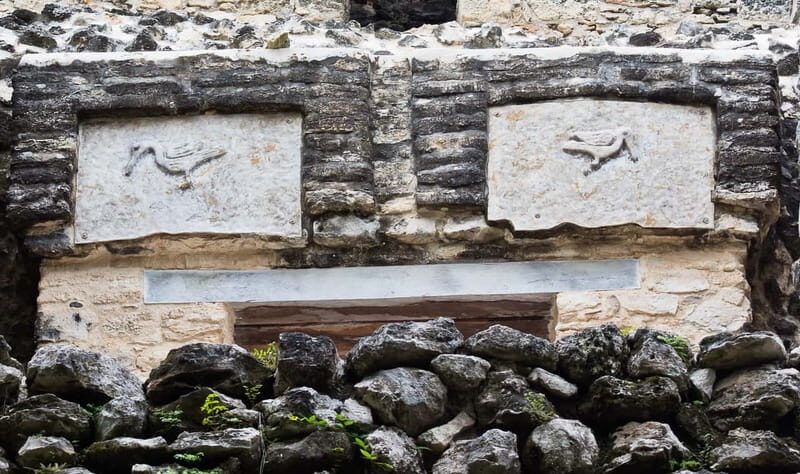 From Riviera Maya : Sian Ka'an Muyil Birdwatching with Guide - Who Would Love This Tour?