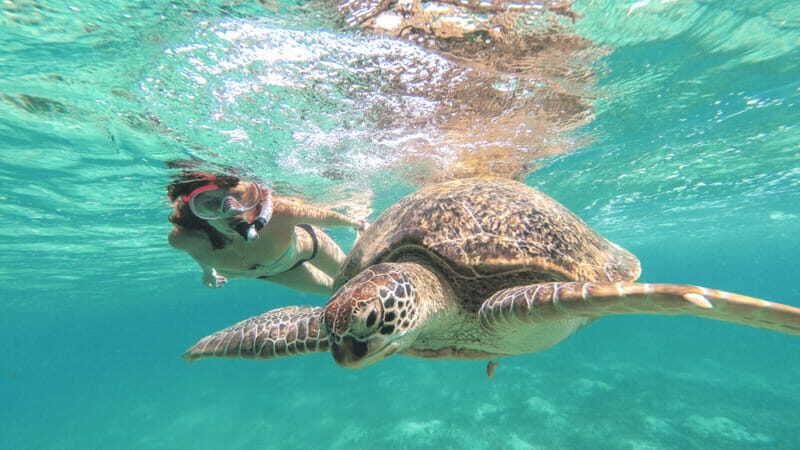 From Riviera Maya: Tulum, Cenote, & Akumal Turtle Swim Trip - Transportation and Overall Comfort