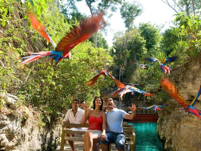 From Riviera Maya: Xcaret Park All-Inclusive - From Riviera Maya: Xcaret Park All-Inclusive — A Complete Guide