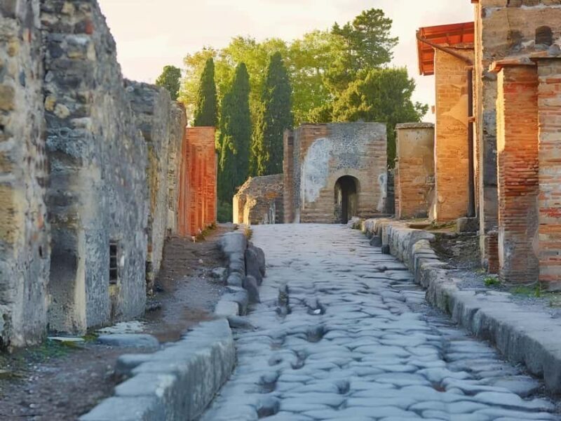 From Rome Day trip: Pompeii and Vesuvius at your leisure - Key Points