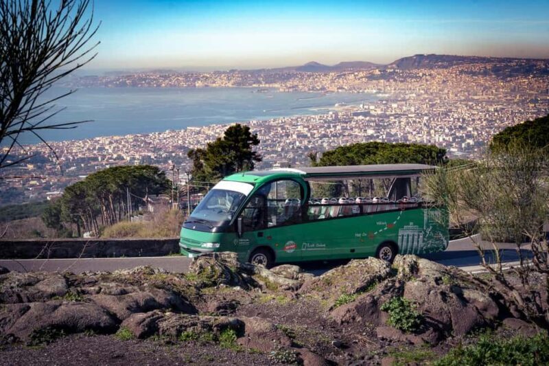 From Rome Day trip: Pompeii and Vesuvius at your leisure - Practical Details and Tips for Your Trip