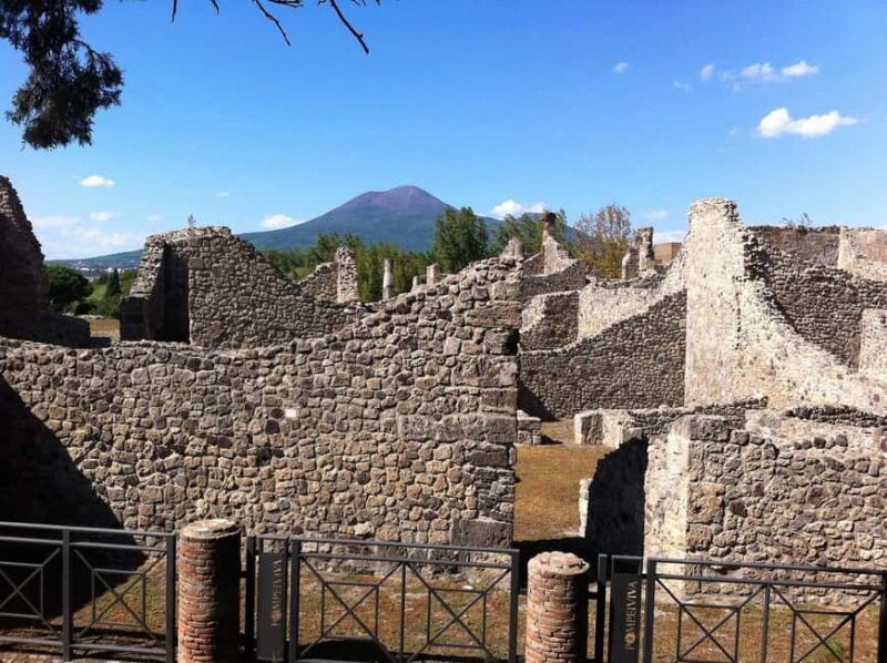 From Rome Day trip: Pompeii and Vesuvius at your leisure - FAQ