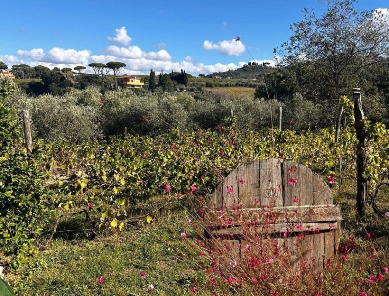 From Rome: Half-Day Frascati Wine Tour with Farmhouse Lunch - Exploring the Itinerary in Detail