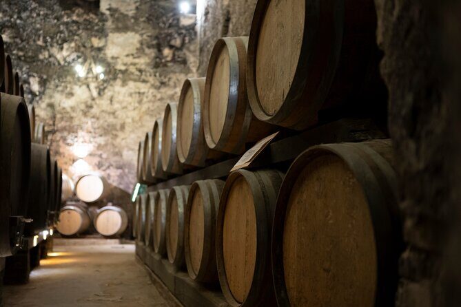 from Rome Montepulciano and Montalcino, the Wine Routes - Discovering Tuscany’s Wine Treasures from Rome: Montepulciano and Montalcino