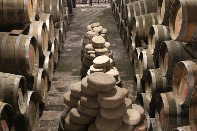 From Rome: Private Day-Tour of Tuscany - The Sum Up: Why Choose This Tour?