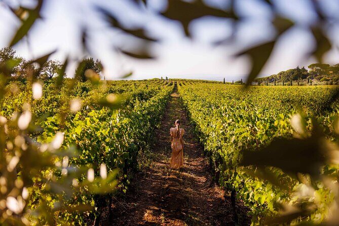 From Rome to the Castles: Private 3-Hour Wine Tasting Tour - Key Points