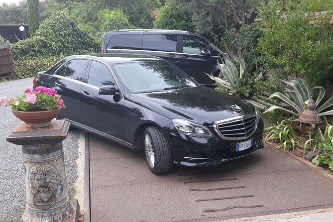 From Rome to the Castles: Private 3-Hour Wine Tasting Tour - Who Will Love This Tour?