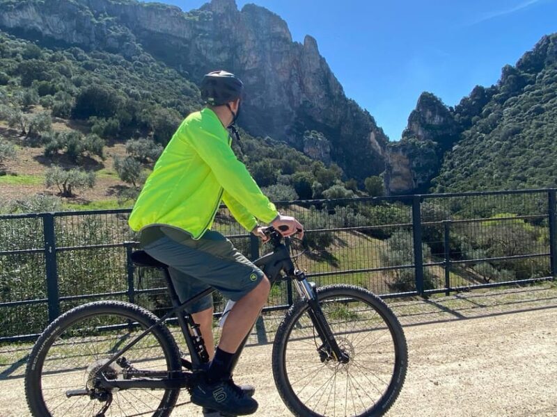 From Ronda: Via Verde de la Sierra Easy Cycling Tour - An In-Depth Look at the Via Verde de la Sierra Cycling Experience