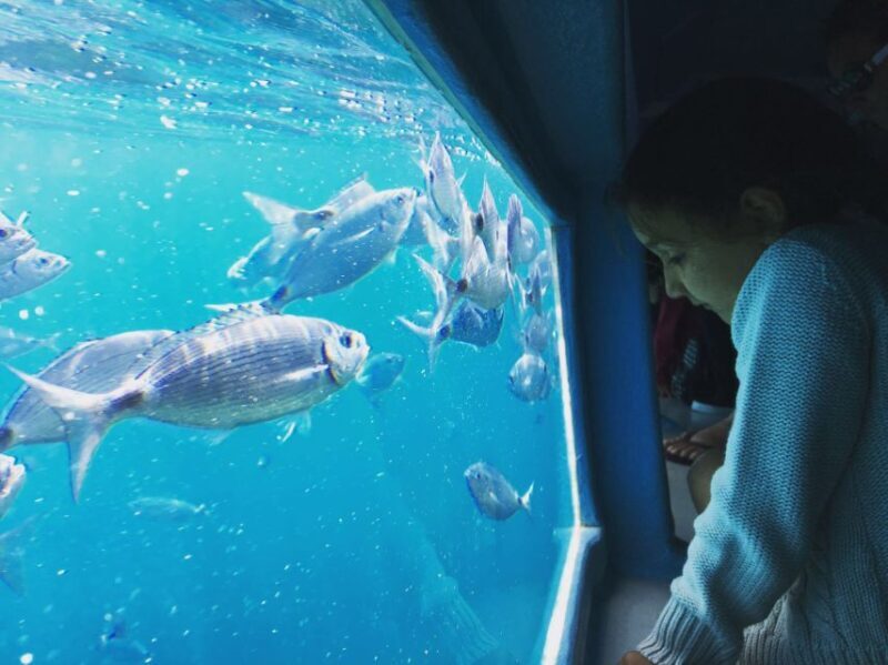 From Roses: Cap Norfeu Boat Cruise & Swimming - Key Points