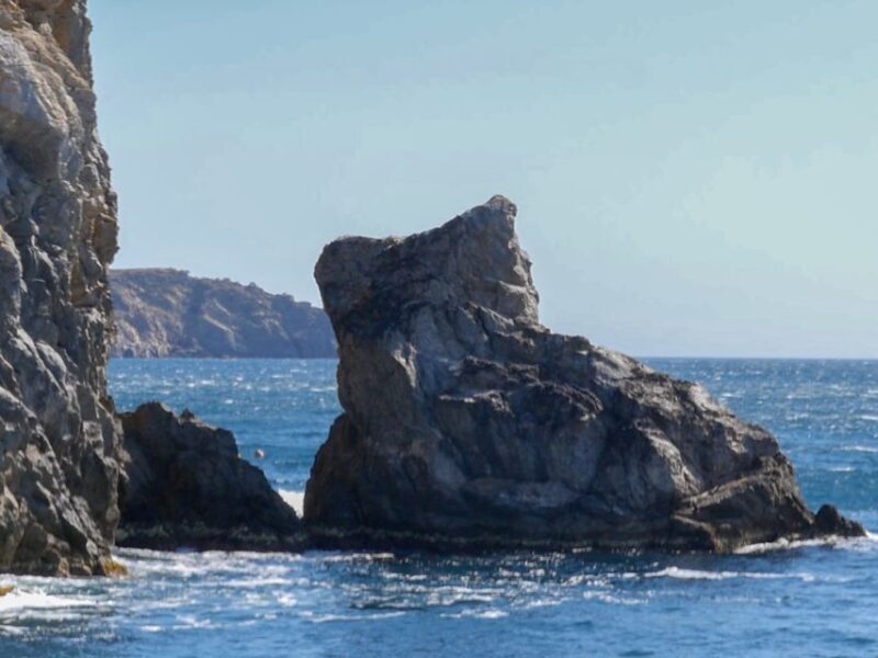 From Roses: Cap Norfeu Boat Cruise & Swimming - The Experience and What to Expect