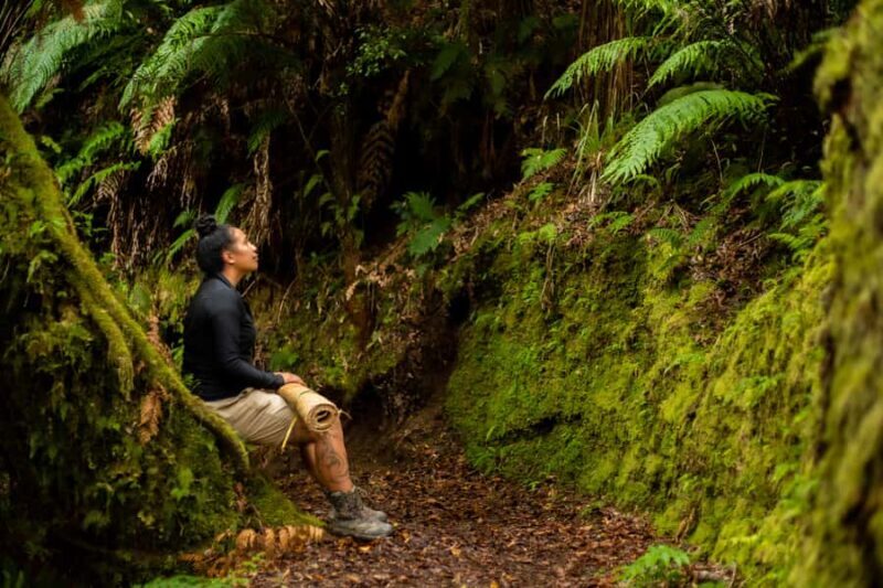 From Rotorua: Whirinaki Rainforest Guided Cultural Tour - Final Thoughts: Who Will Love This Tour?