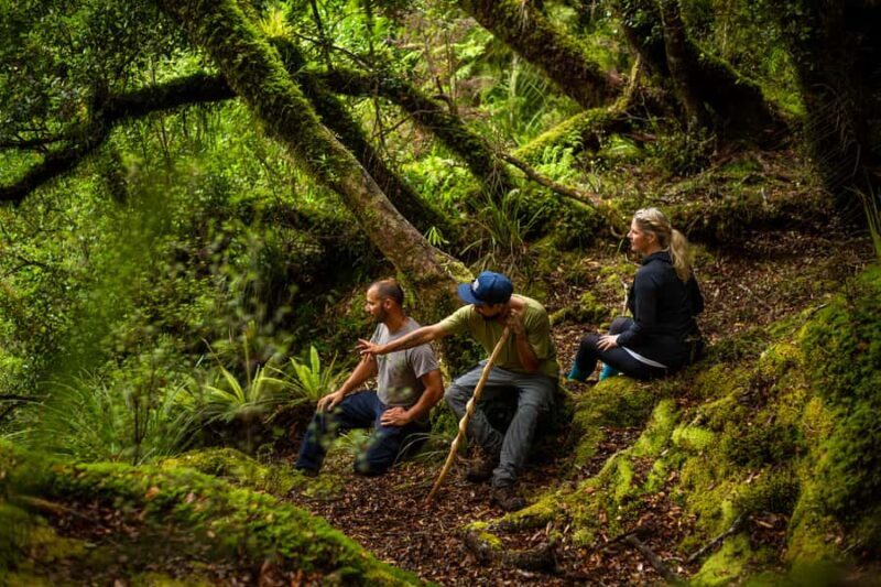 From Rotorua: Whirinaki Rainforest Guided Cultural Tour - FAQ