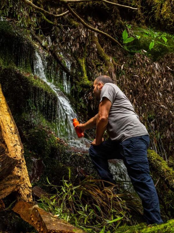 From Rotorua: Whirinaki Rainforest Guided Cultural Tour - Final Words