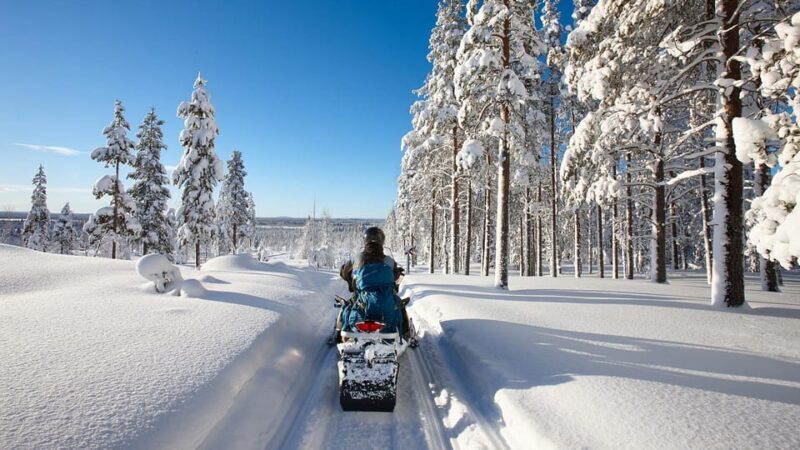 From Rovaniemi: 2-Hour Snowmobile Safari - What to Expect From the Rovaniemi Snowmobile Safari