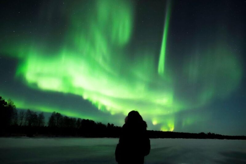 From Rovaniemi: Aurora Borealis Trip in Lapland Lakeside - Who Is This Tour Best For?
