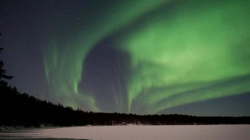 From Rovaniemi: Family-Friendly Northern Lights Tour - An Overview of the Tour Experience