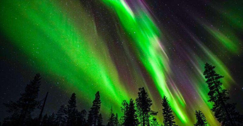 From Rovaniemi: Family-Friendly Northern Lights Tour - Practical Tips for Travelers  