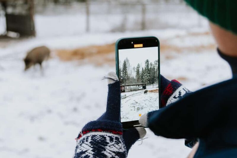 From Rovaniemi: Family Friendly Visit to Ranua Wildlife Park - Key Points