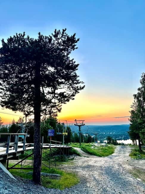 From Rovaniemi: Full-Day Tour to Lapland's Best Attractions - Key Points