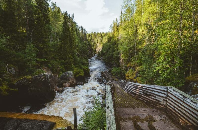 From Rovaniemi: Full-Day Tour to Lapland's Best Attractions - The Guided Tour and Personal Touch