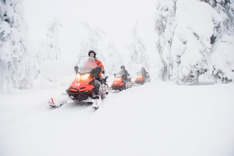 From Rovaniemi: Guided Lapland Snowmobile Adventure - The Itinerary and What You’ll Experience