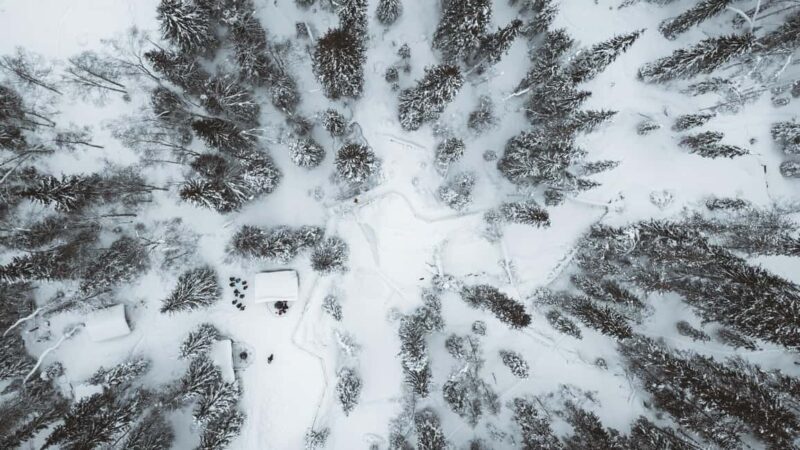 From Rovaniemi: Korouoma & Auttiköngäs Frozen Waterfalls - Exploring the Tour Itinerary