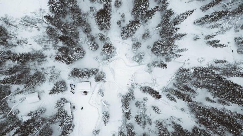 From Rovaniemi: Korouoma & Auttiköngäs Frozen Waterfalls - Practical Details and What’s Included