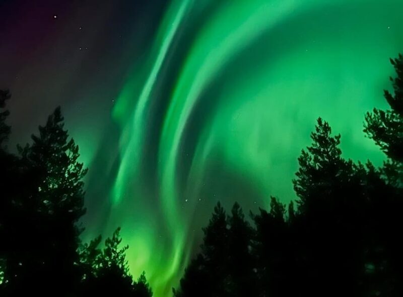 From Rovaniemi: Lapland Aurora Hunt with Barbeque - Key Points