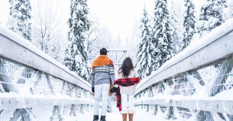 From Rovaniemi: Private Photoshoot in the Lappish Wilderness - The Sum Up