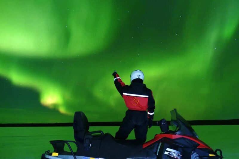 From Rovaniemi: Searching Aurora with Snowmobile - Price and Value