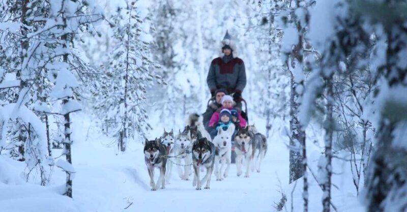 From Rovaniemi: Self-Driven 10km Husky Sled Ride - From Rovaniemi: Self-Driven 10km Husky Sled Ride — An Authentic Arctic Adventure