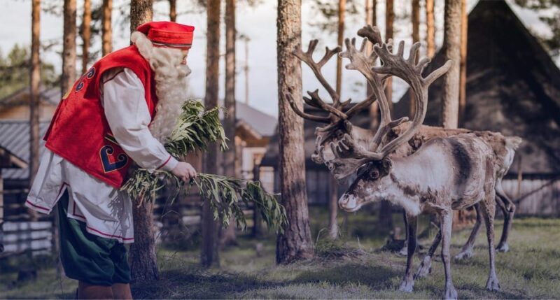 From Rovaniemi: Tour to Santa Claus Village - The Sum Up