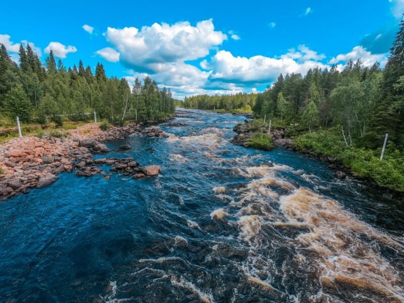 From Rovaniemi: Vikaköngäs Forest Hiking Tour - Who Should Book This Tour?
