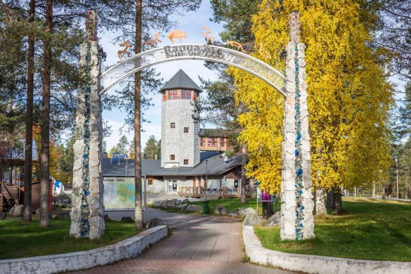 From Rovaniemi: Visit Wildlife Park in Ranua - Why This Tour Offers Great Value
