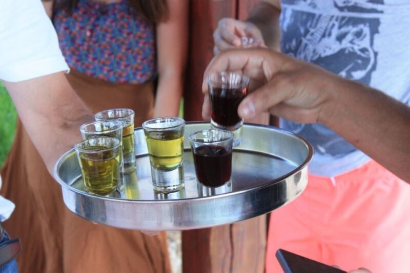 From Rovinj: Istria Day Tour to Pore, Gronjan & Motovun - What Reviewers Love Most