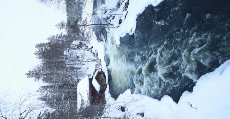 From Ruka: Snowshoeing in Oulanka National Park - The Experience: What You Can Expect from This Snowshoeing Tour