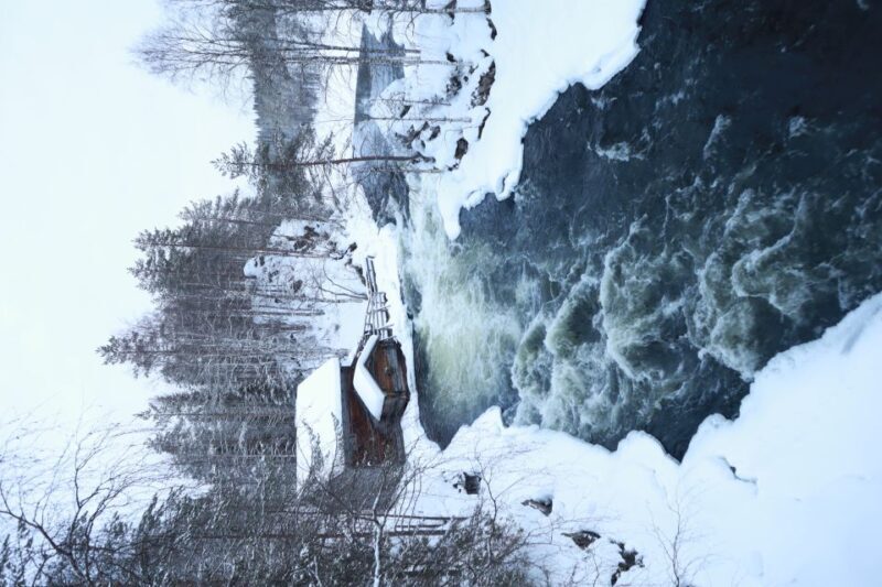 From Ruka: Snowshoeing in Oulanka National Park - Authenticity and Real-Life Insights from Reviews