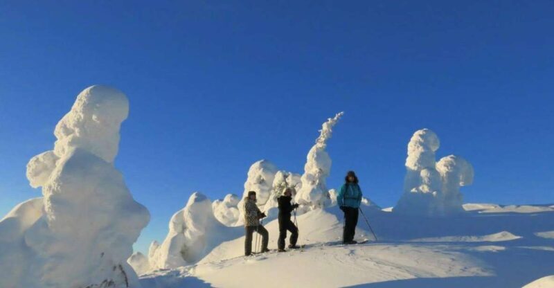 From Ruka: Snowshoeing in Riisitunturi National park - A Deep Dive into the Snowshoeing Experience in Riisitunturi National Park