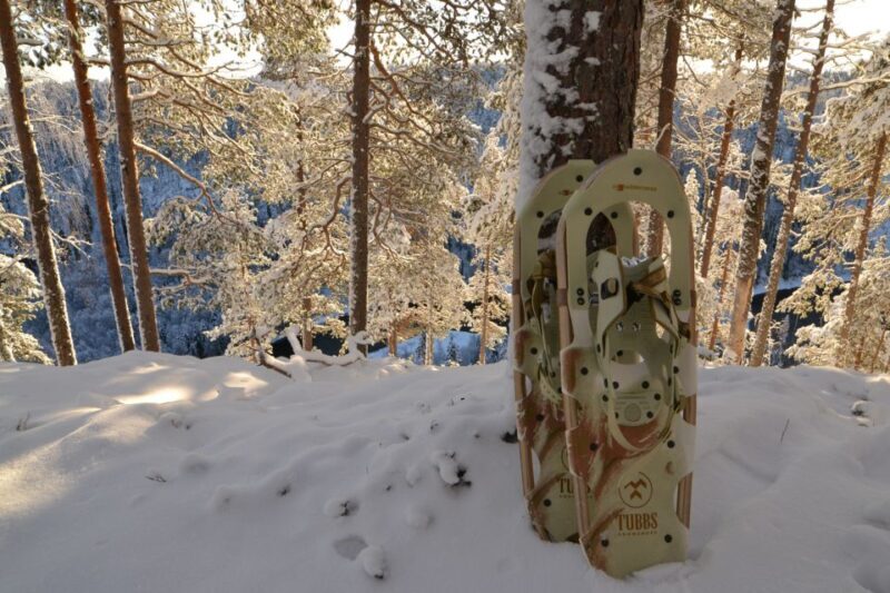 From Ruka: Snowshoeing in Riisitunturi National park - Why This Tour Offers Great Value