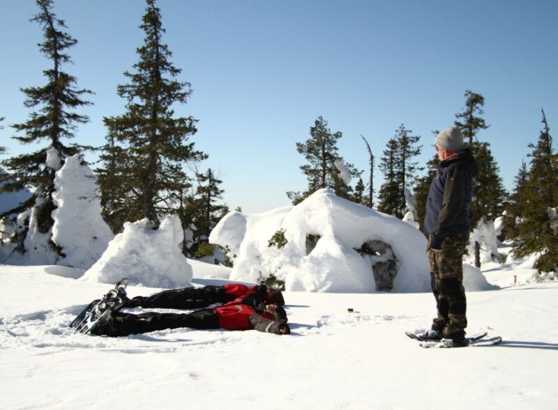 From Ruka: Snowshoeing in Riisitunturi National park - Who Should Consider This Tour?