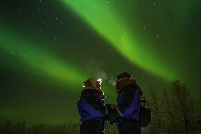 From Saariselkä: Northern lights tour to Lake Inari, incl. dinner - What Reviewers Say: Highlights and Caveats